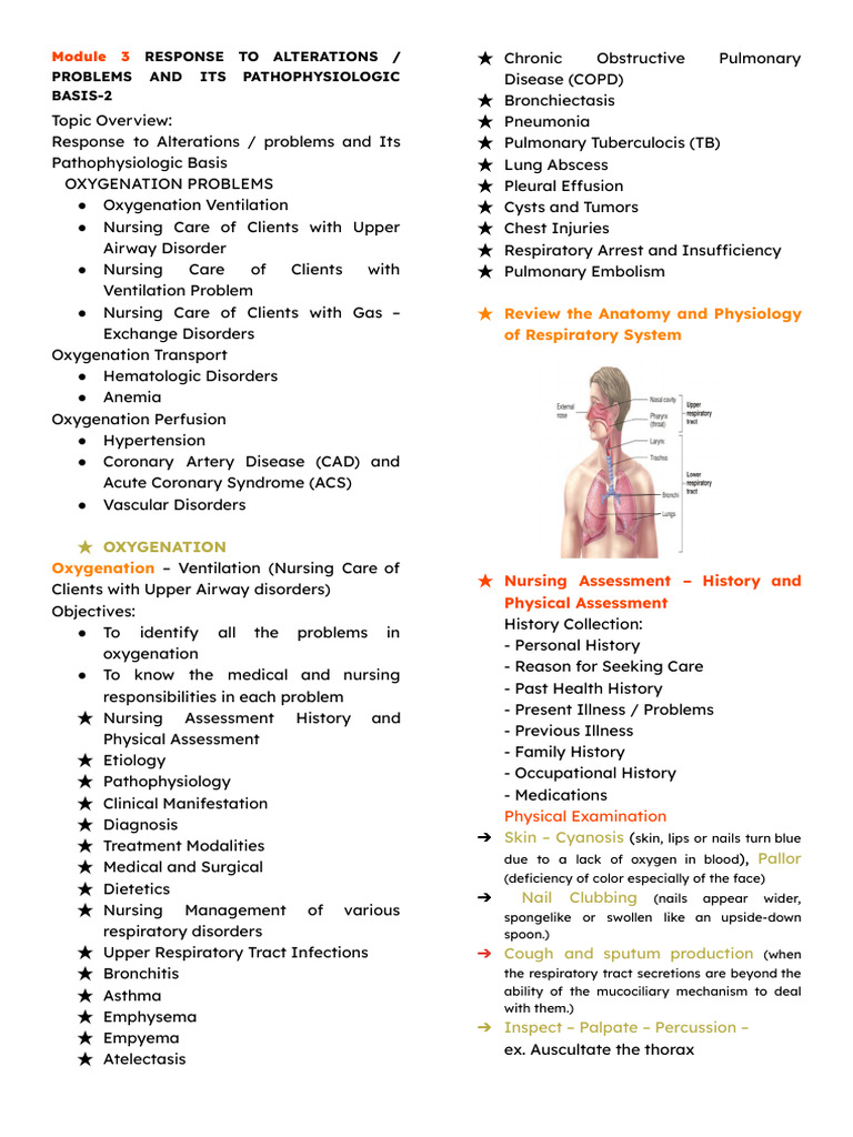 Medsurg Lesson | PDF | Lung | Respiratory Tract