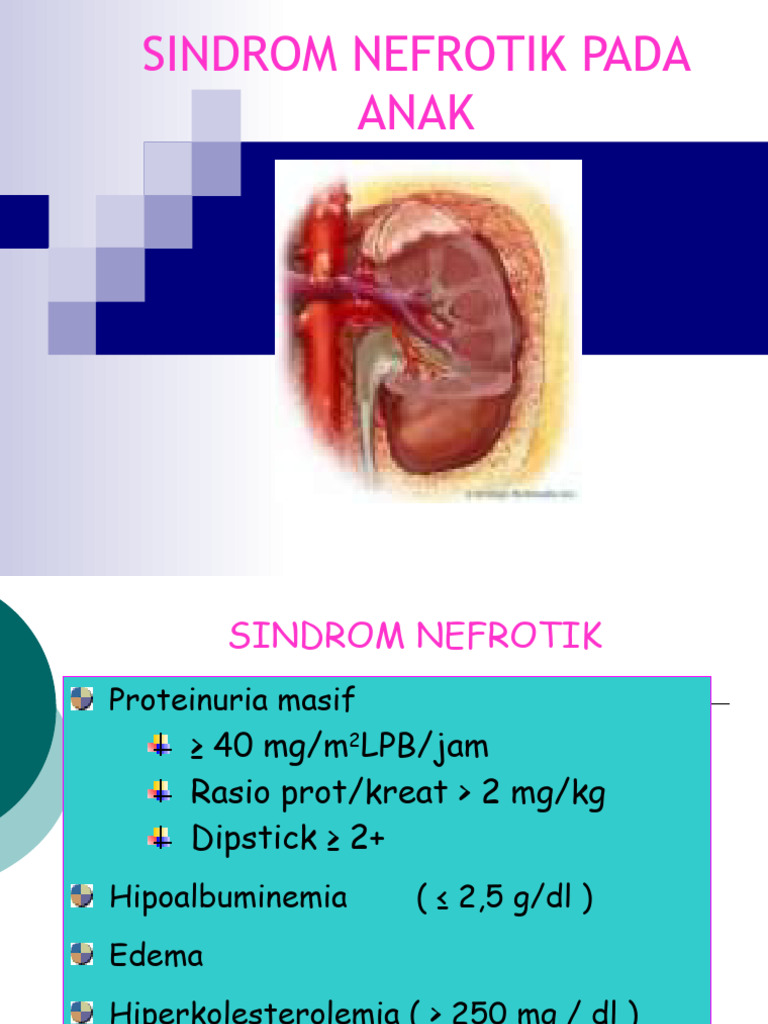 Sindrom Nefrotik Pada Anak | PDF | Pengembangan Diri