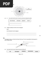 Calculation-Magnification-Qs Pack-Gcse | PDF | Micrograph | Cell (Biology)