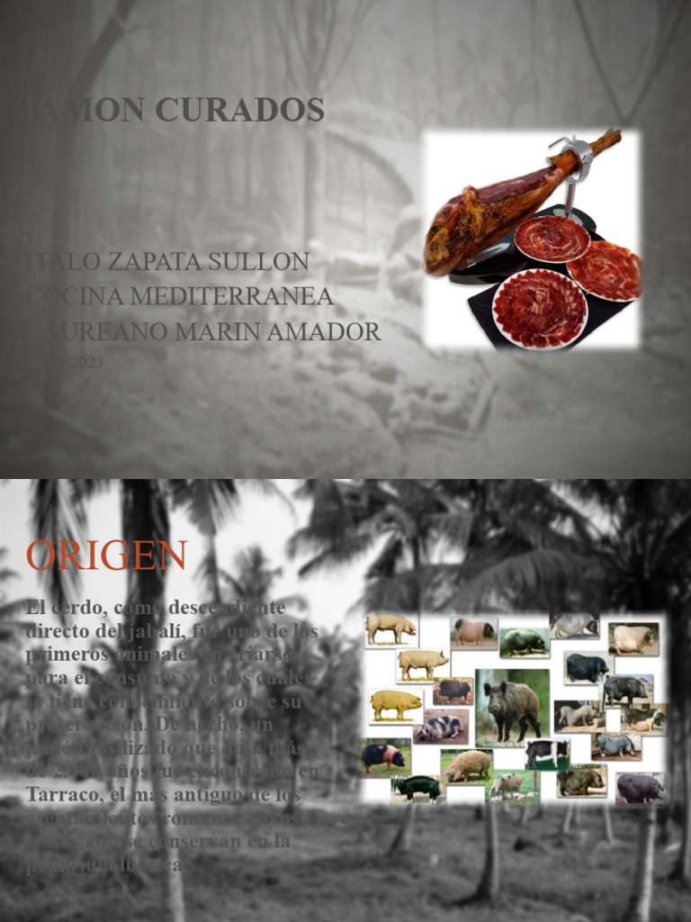 Jamon Curados | PDF | jamón | Carne