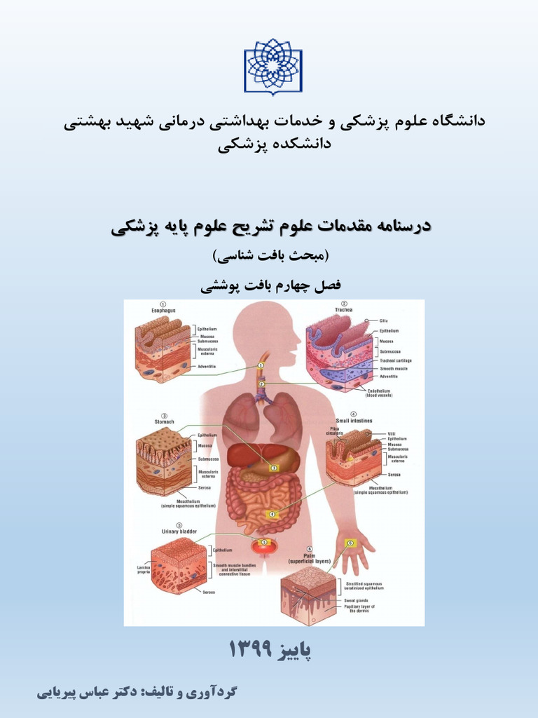Histology Chapter 4 Epithelium Pdf