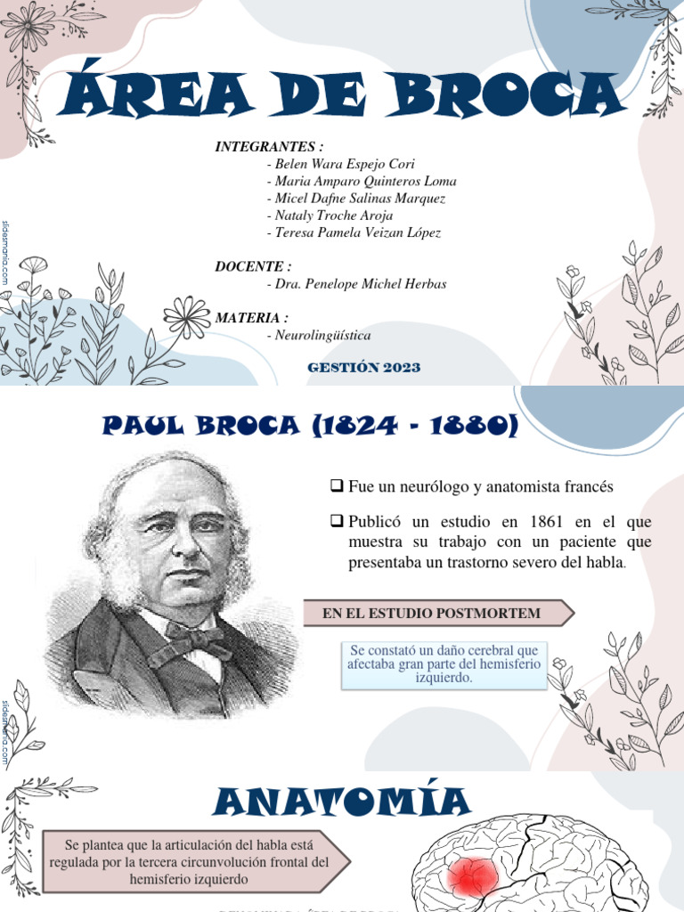 Funciones y ubicación del área de Broca | PDF | Lóbulo frontal | Afasia