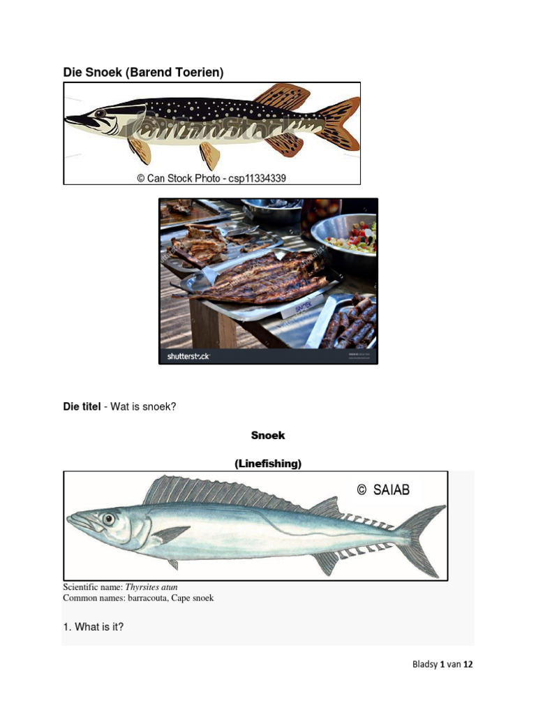 Die Snoek: Poem Analysis and Insights | PDF | Overfishing | Coral Reef