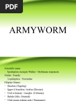 Walk Thru Inspection Template | PDF | Pest Control | Pest (Organism)