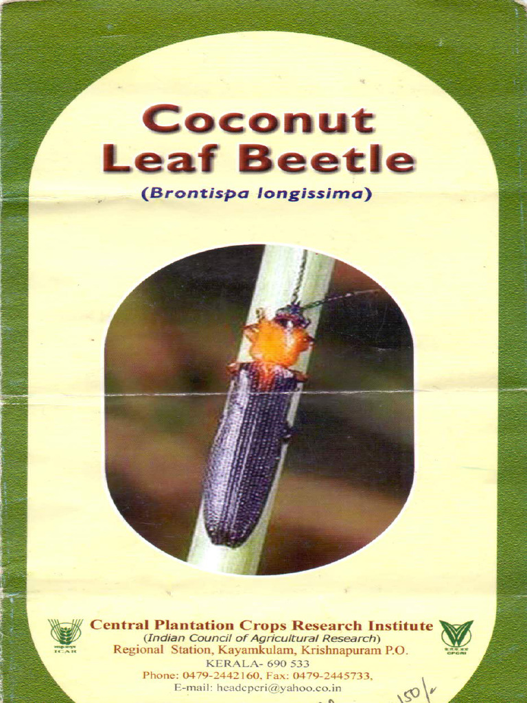 Coconut Leaf Beetle PDF | PDF