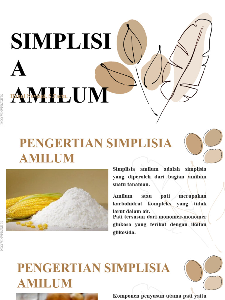 Pengertian dan Contoh Amilum | PDF