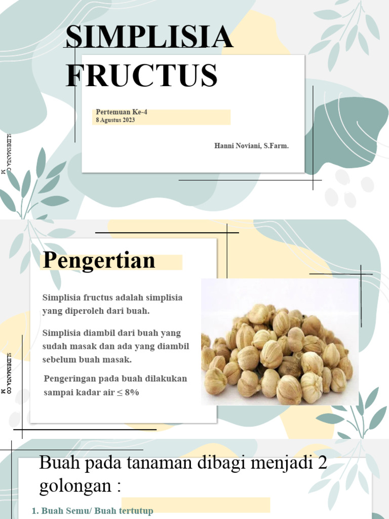 Farmakognosi 3 - Fructus | PDF