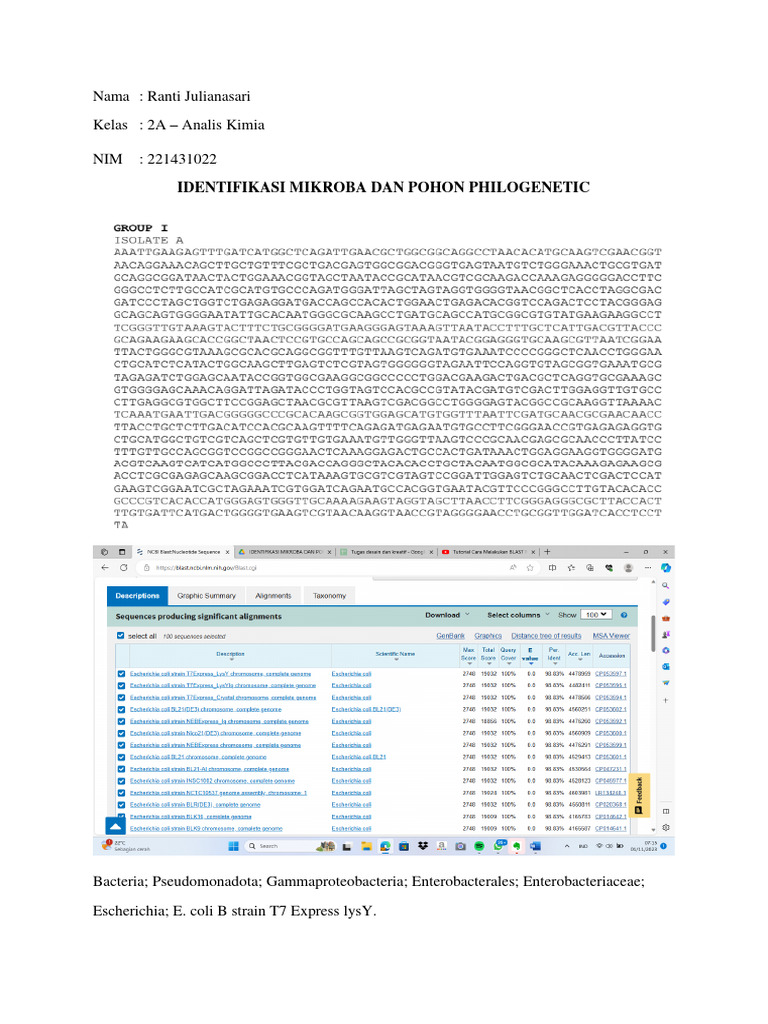 Ranti Julianasari - Identifikasi Mikroba | Download Free PDF | Bacillus | Prokaryote