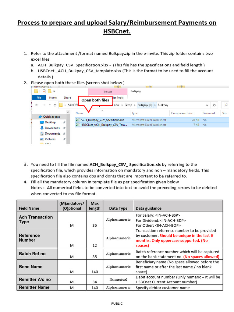 BULKPAY | PDF | Comma Separated Values | Computer Data