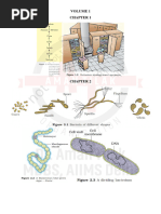 NCERT Class 11 & 12 Biology Diagrams | PDF
