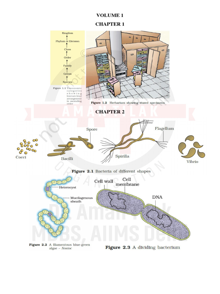 NCERT Class 11 Biology Diagrams PDF | PDF | Cooking, Food & Wine
