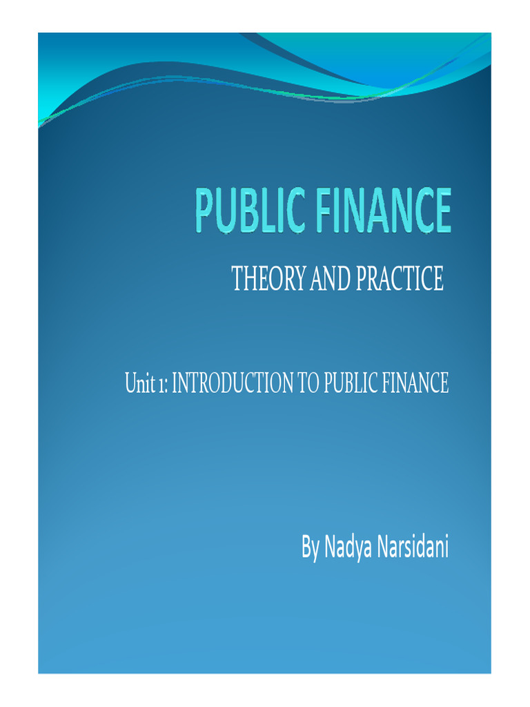 Introduction to Public Finance Concepts | PDF | Welfare Economics ...