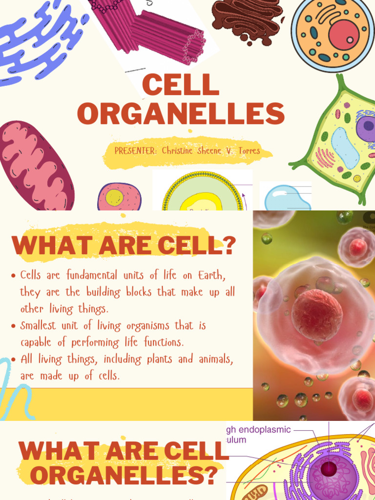 Yellow Colorful Animated Illustration Science Theme Presentation ...