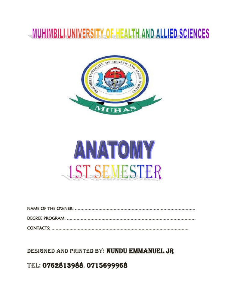 Anatomy Papers 2020 | PDF | Aorta | Heart
