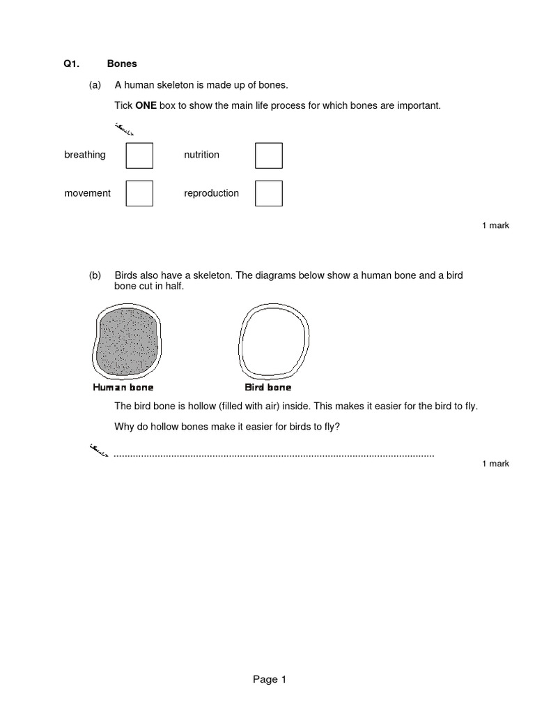 Diet - Level 5 - Questions | PDF