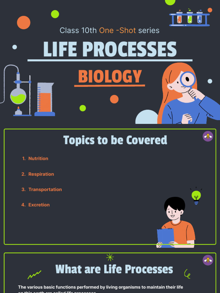Life Processes Notes | PDF | Digestion | Respiratory System