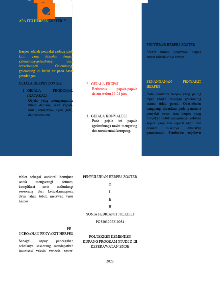 Leaflet Herpes Zoster | PDF