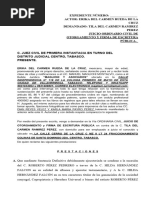 AM-SRT Formato Editable PAGINA 1 | PDF