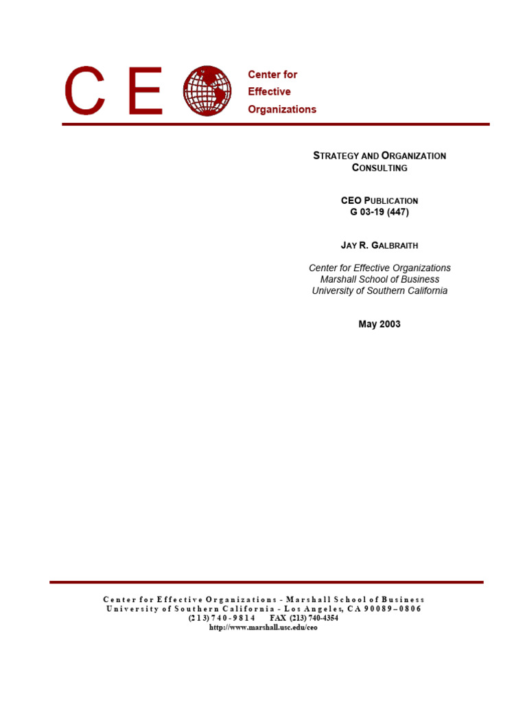 STRATEGIC CONSULTING SPECIAL REPORT - CEO - Strategy & Organizational ...
