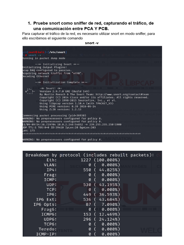 Documentación Alertas Snort | PDF | Protocolo de Control de Transmisión | Protocolos de internet