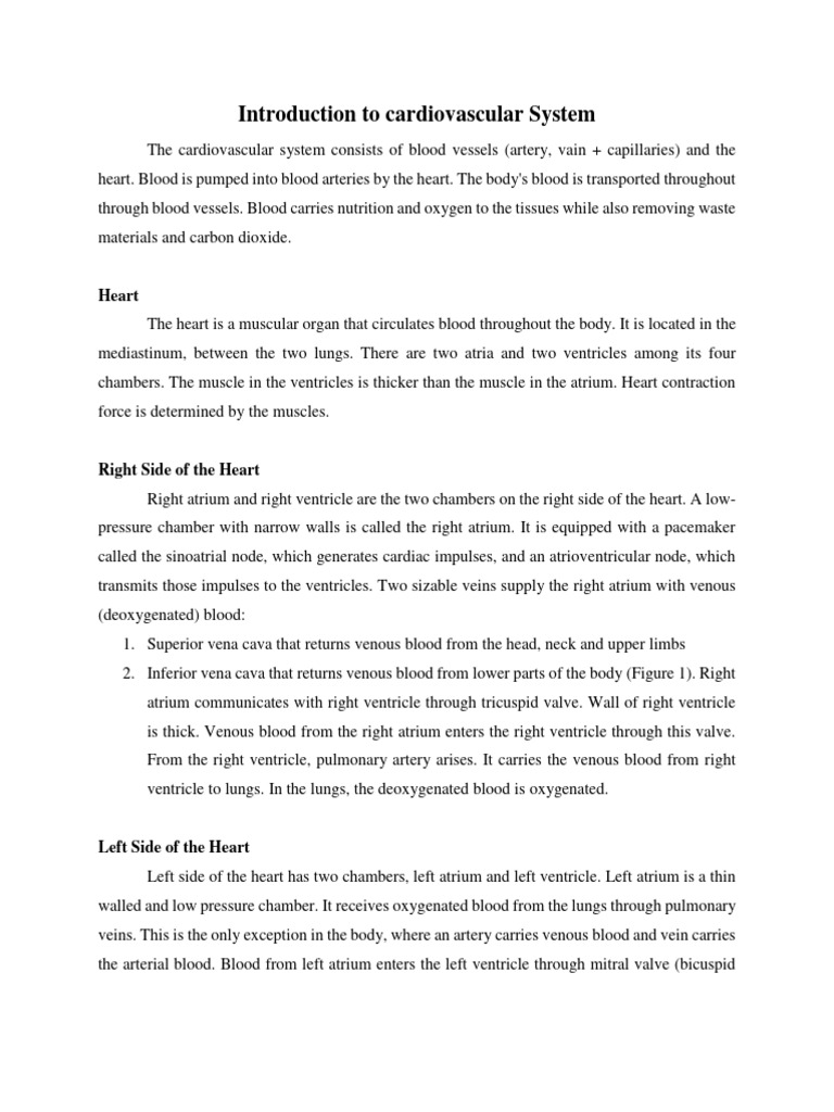 Introduction To Cardiovascular System | PDF | Heart Valve | Heart