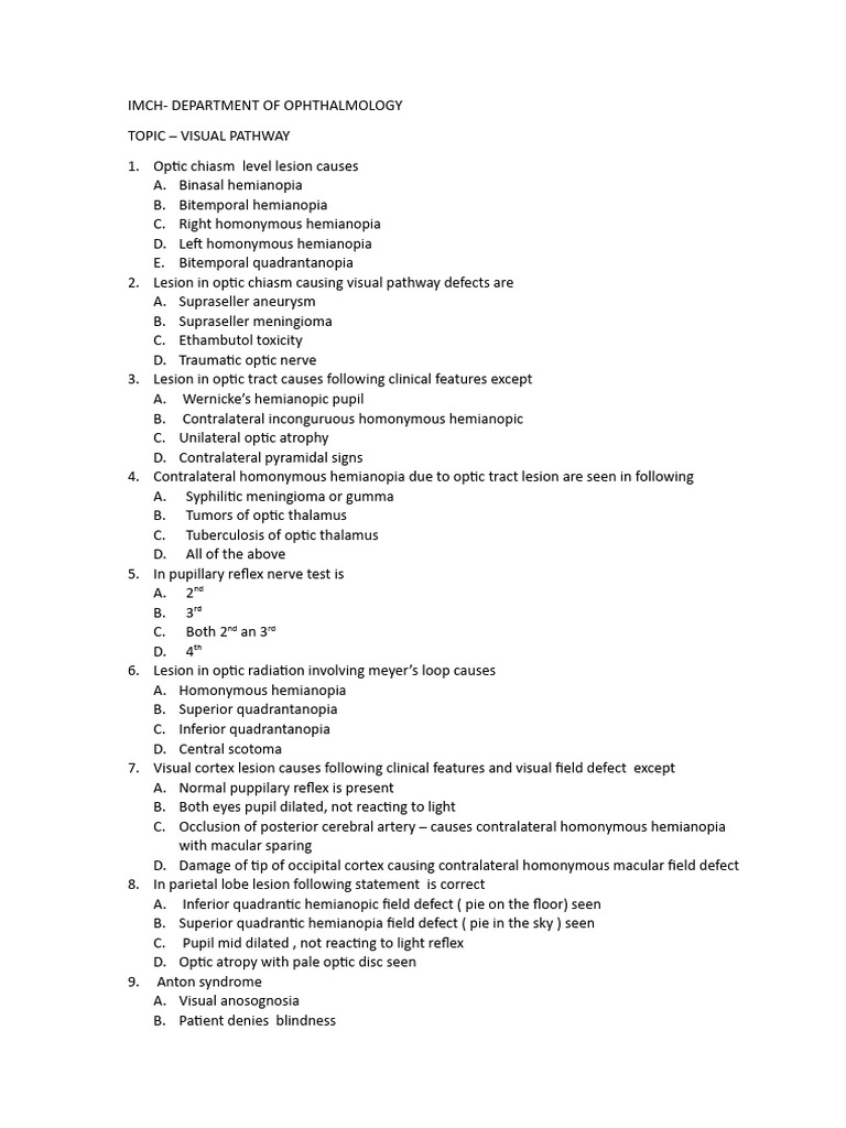 Visual Pathway 1 | PDF | Visual System | Brain