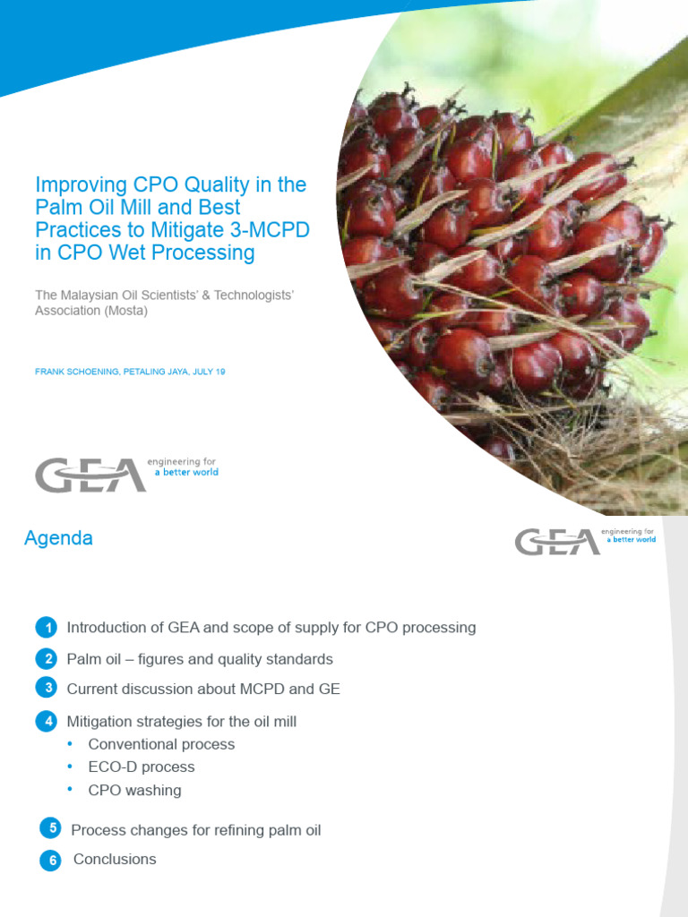 2.2 DR Frank Shoening | PDF | Palm Oil | Food And Drink