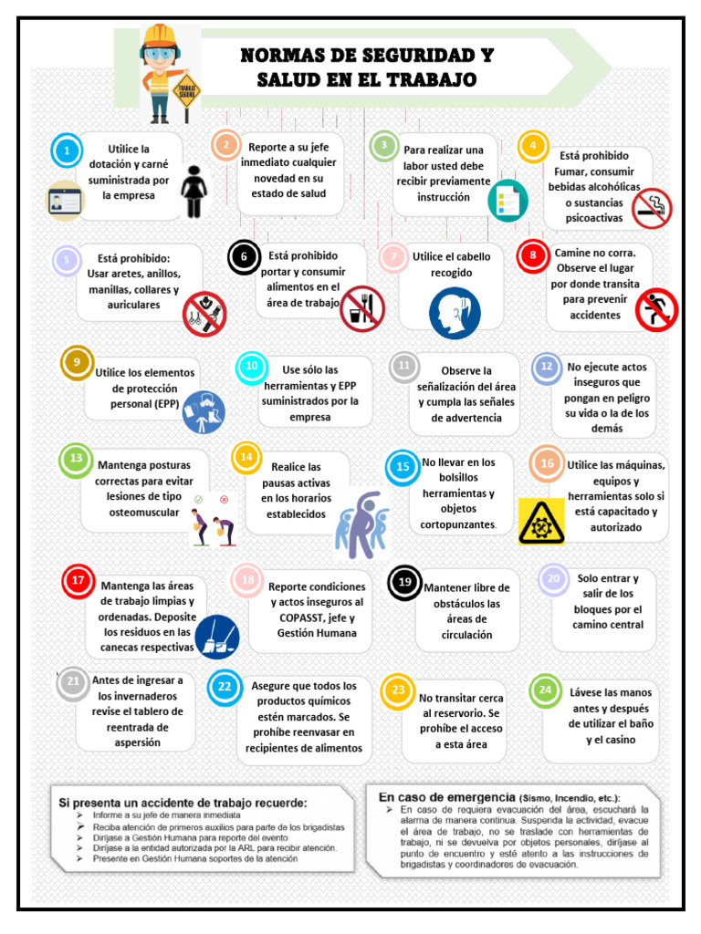 Dojo Normas de Seguridad | PDF