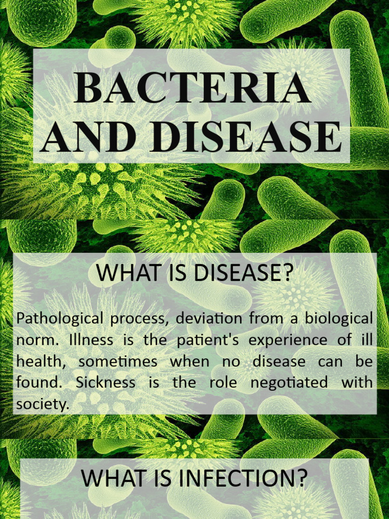 Bacteria and Disease - 115911 | PDF | Infection | Lipopolysaccharide