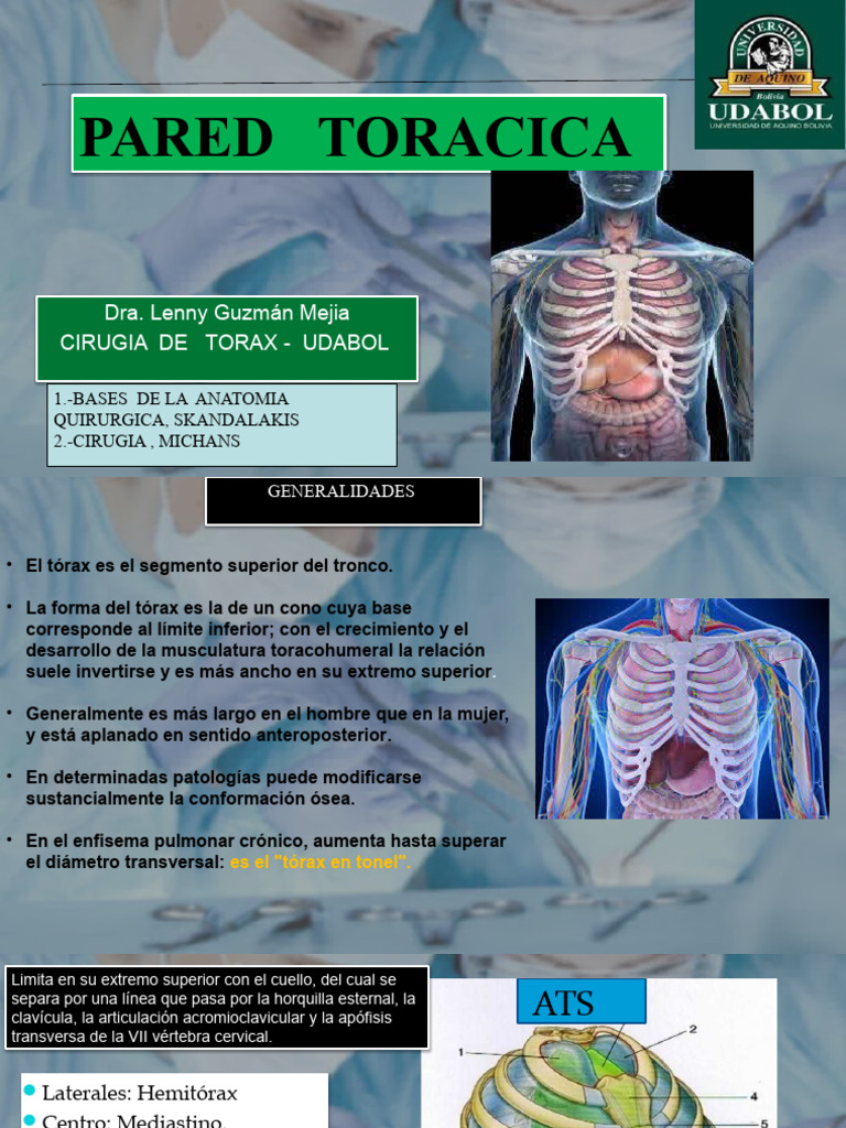 Pared Toracica | PDF | Tórax | Biopsia
