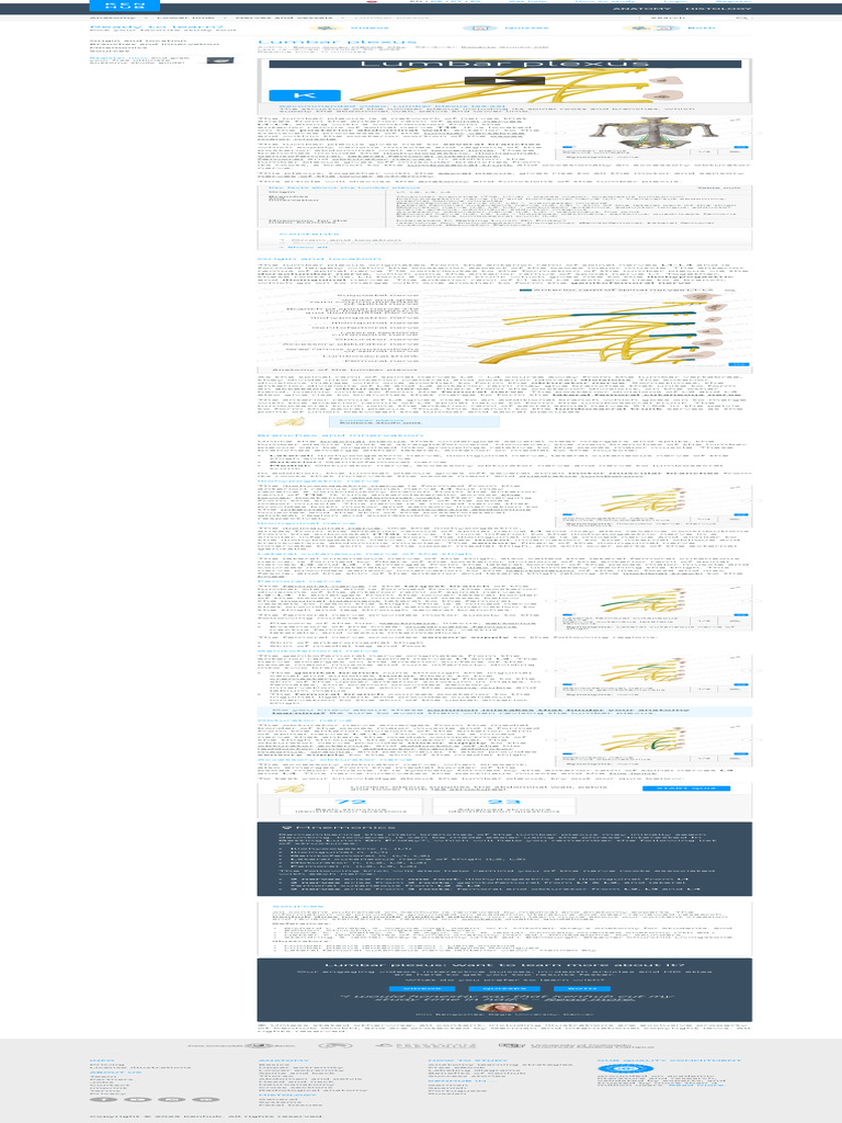 Lumbar Plexus Anatomy Branches and Innervation Kenhub | PDF | Human Leg ... Lumbar Plexus Anatomy Branches and Innervation Kenhub | PDF | Human Leg ...