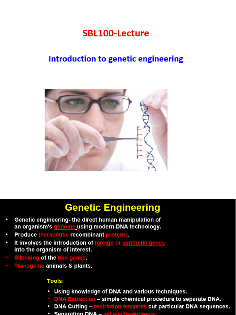 Set2 Introduction Genetic Engineering 01november2023r | PDF | Nucleic ...
