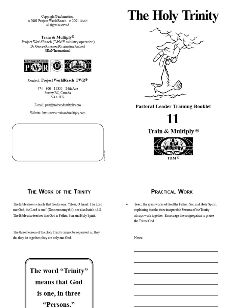 011 - The Holy Trinity | Download Free PDF | Trinity | Born Again