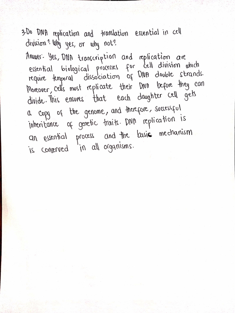 Module 4 Lesson 2 D | PDF