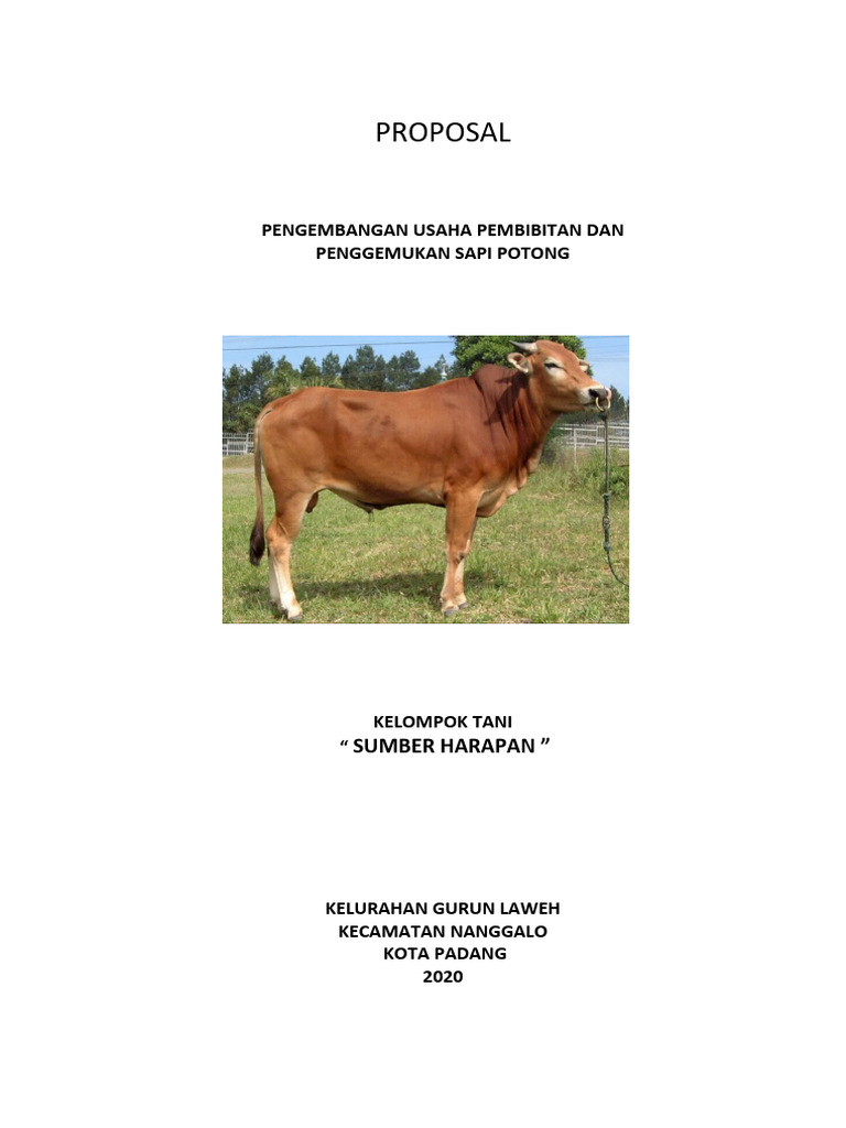 Proposal Sapi Sumber Harapan | PDF