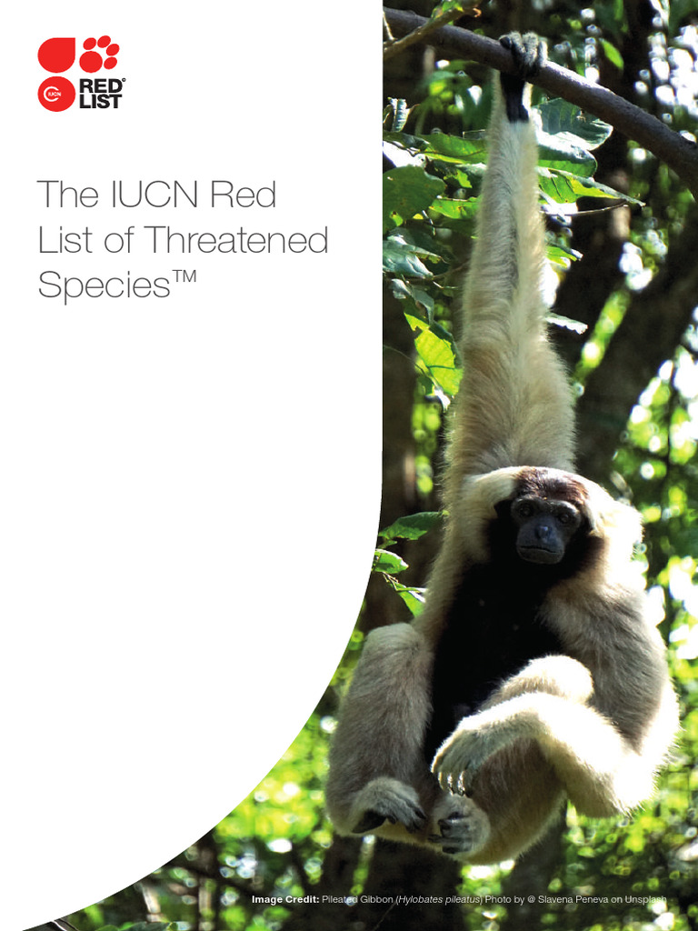 Iucn Brochure English Screen | PDF | Conservation Biology | Endangered ...