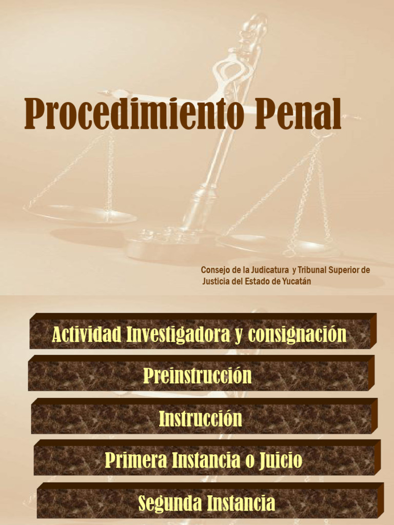 Procedimiento Penal | PDF | Queja | Apelación