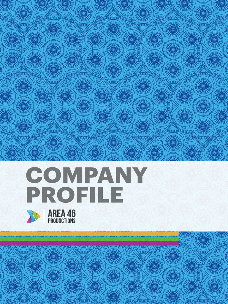 Company Profile Area 46 | PDF | Computing