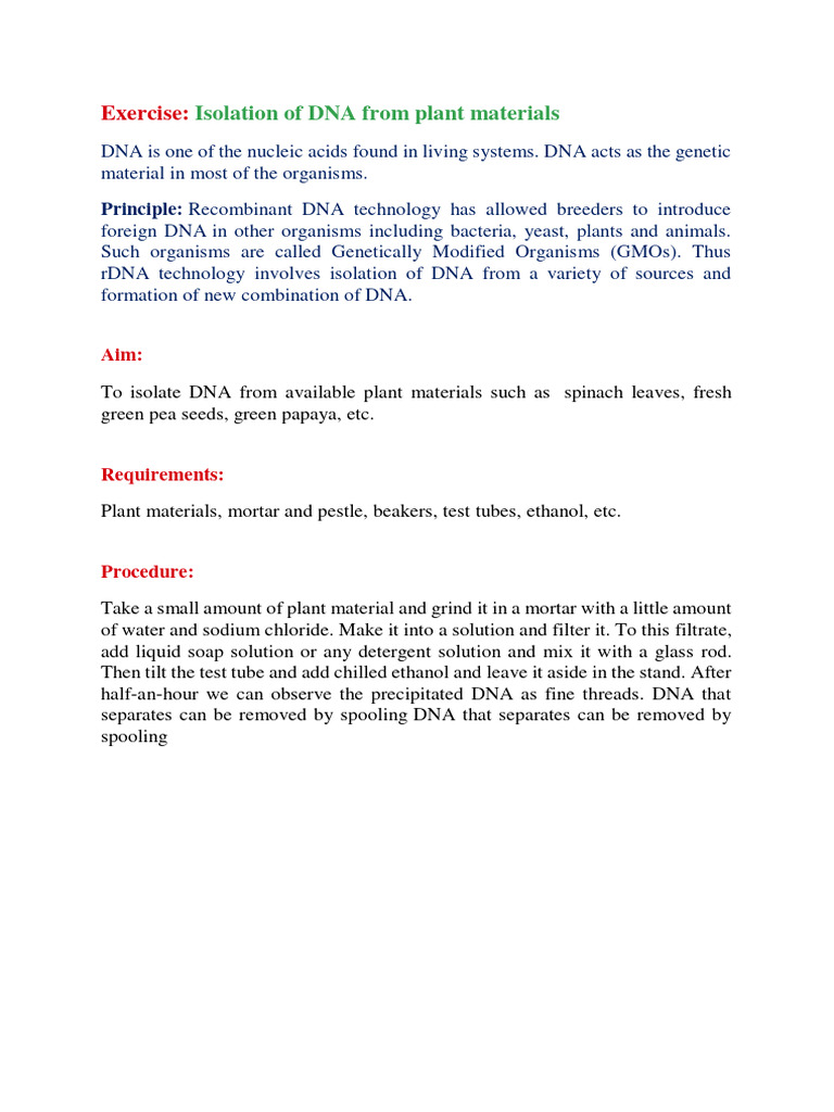 Ex-5.Isolate DNA From Available Plant Material | PDF