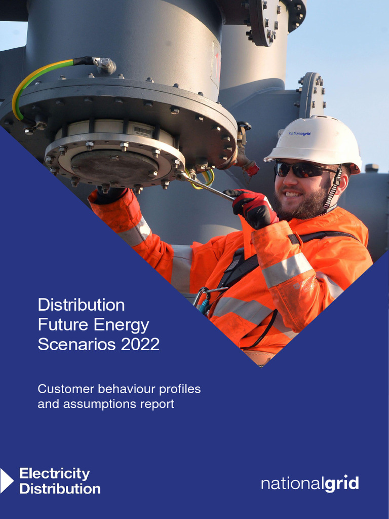 DFES Customer Behaviour Report | PDF | Wind Power | Electrical Grid
