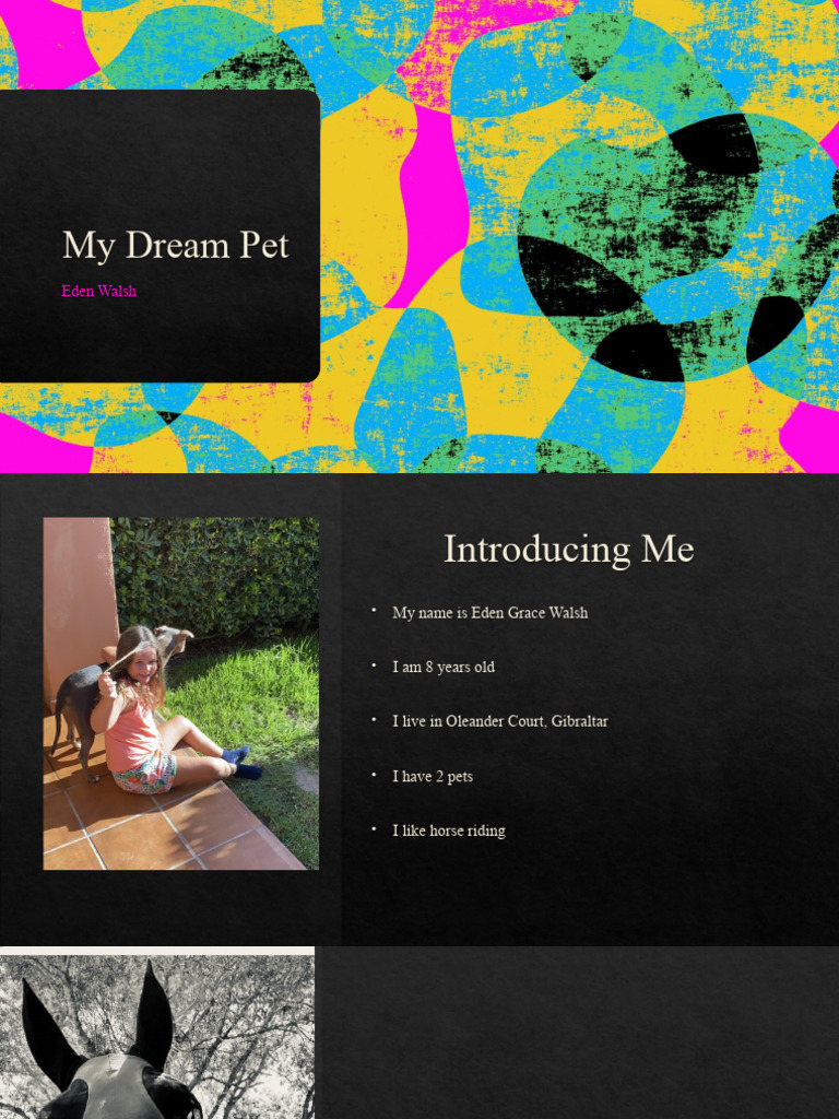 My Dream Pet: Cognac the Pony | PDF