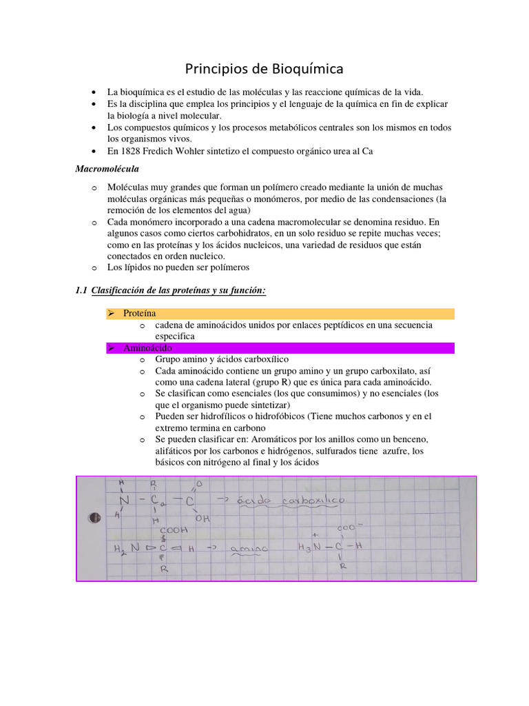 Principios de Bioquimica | PDF | Aminoácidos | Carbohidratos