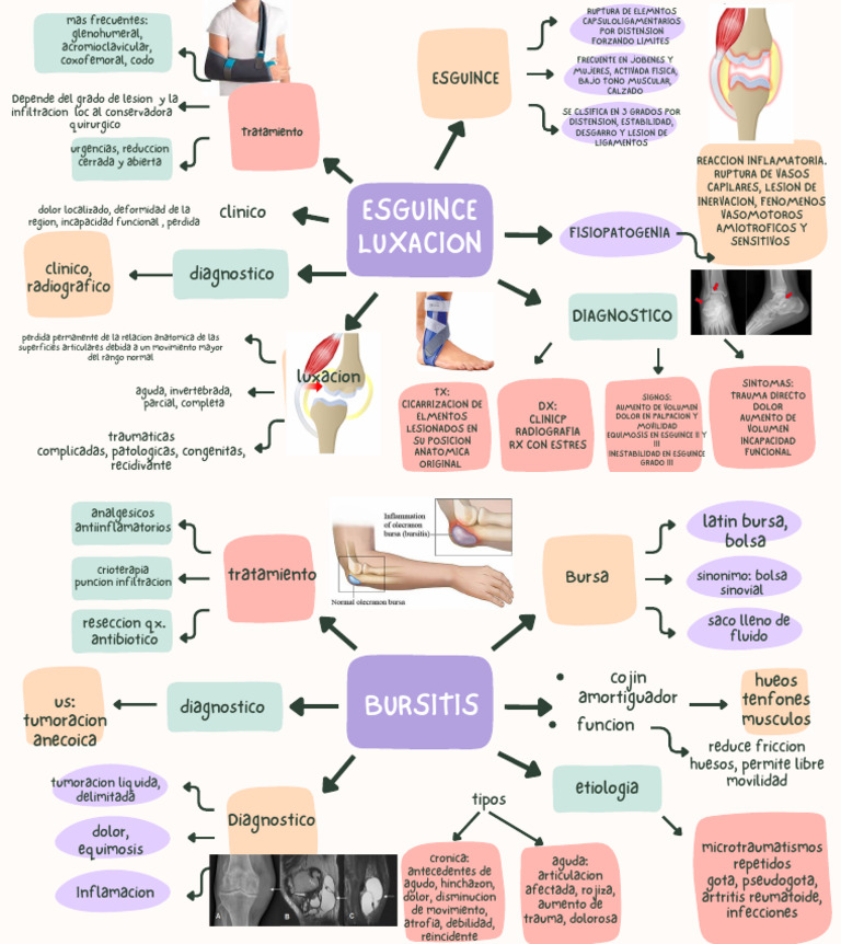 Bursitis, Luxacion y Esguinse | PDF | Articulación | Lesión