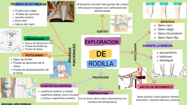 Exploracion de Rodilla | PDF | Rodilla | Anatomía humana