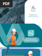 Carta Gantt Protocolo Minsal Psicosocial 2025 | PDF