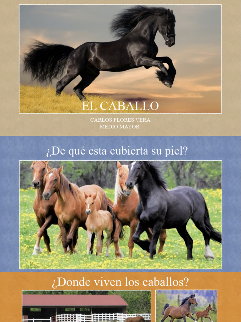 Hábitat y alimentación de los caballos | PDF