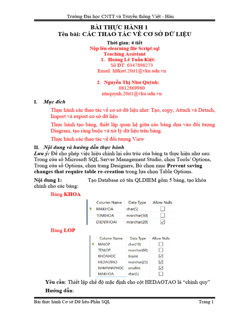 Bai Tap Thuc Hanh CSDL - PhanSQL - VKU | PDF
