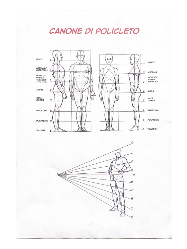 Canone Di Policleto | PDF
