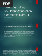Sieve Phi Sizes | PDF | Process Engineering | Nature