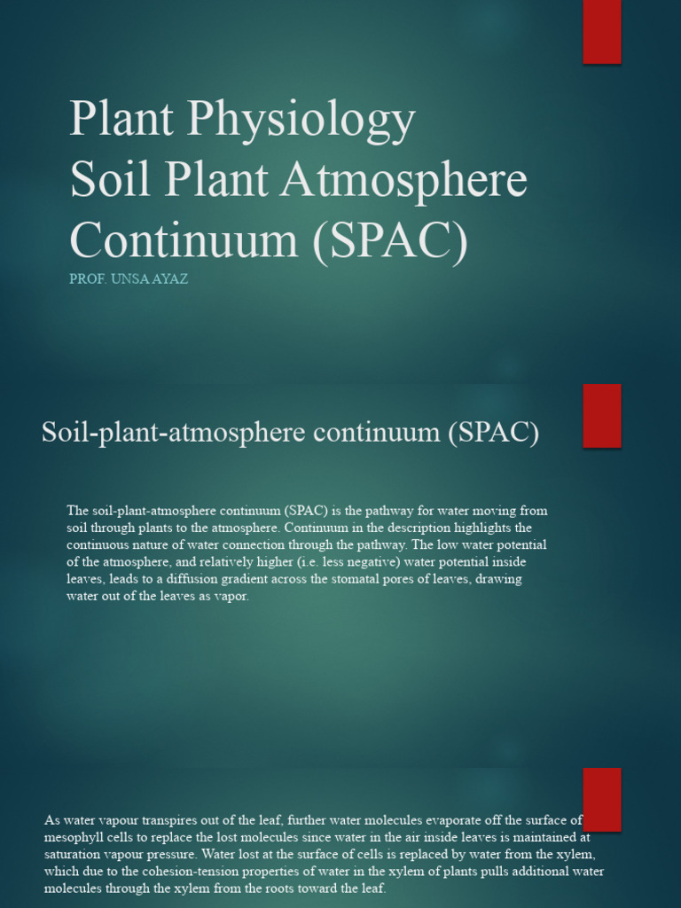 Soil-Plant-Atmosphere Continuum Explained | PDF | Water | Soil